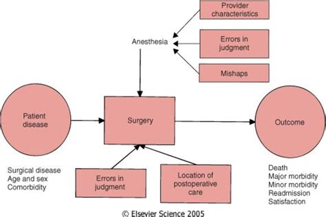SOLUTION Preoperative Evaluation Studypool