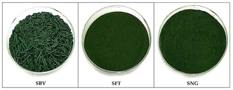 Spirulina Biomass Samples Subtitle Sbv Granulated Spirulina