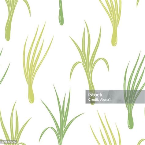 Lemongrass Plant Graphic Color Seamless Pattern Background Sketch