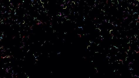 Celebration  Stock Video Footage For Free Download