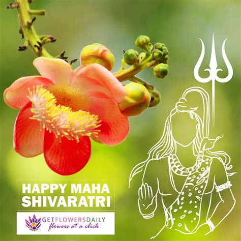 What Color Flowers For Lord Shiva At Molly Carmichael Blog