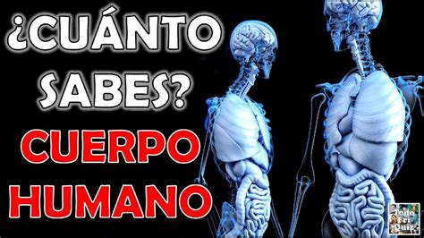 ¿cuánto Sabes Sobre El Cuerpo Humano Testtrivialquiz Youtube