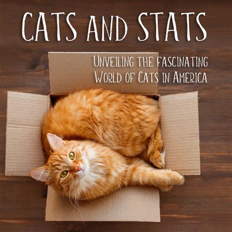 Cats And Stats Unveiling The Fascinating World Of Cats In America Mydeye