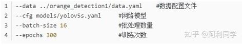如何利用yolov5训练自定义数据集 知乎