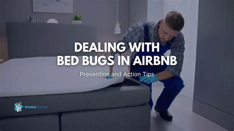 Dealing With Bed Bugs In Airbnb Prevention And Action Tips Elevated