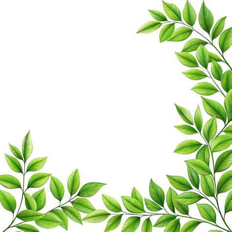 Minimalist Green Leaf Corner Border On White Background Minimalist