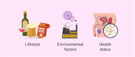 What Are Antioxidants And How Do They Affect Sperm Quality