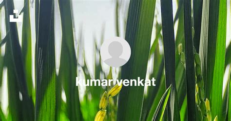 Kumar Venkat Venkat Cool Unsplash Photo Community