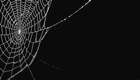 Premium Ai Image Spooky Spider Webs
