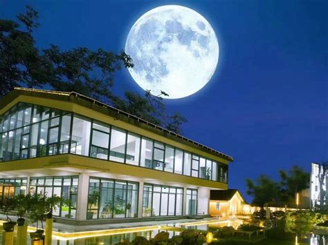 倒计时2天三明建宁县第七届花海跑亮点先睹为快 东南网 福建官方新闻门户