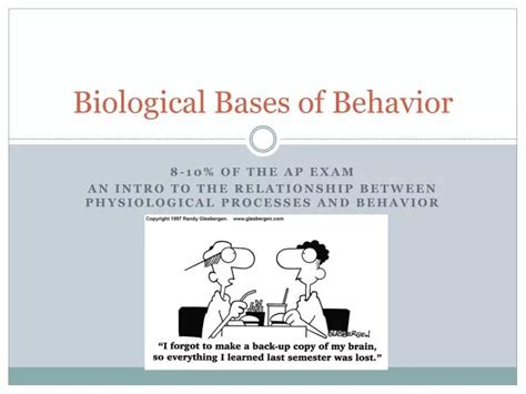 PPT Biological Bases Of Behavior PowerPoint Presentation Free