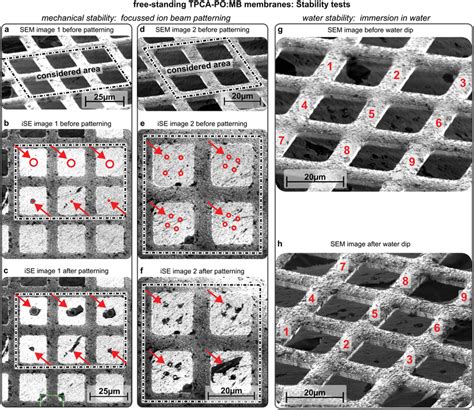 A D Scanning Electron Microscopy Sem And B E Ion Beam Induced