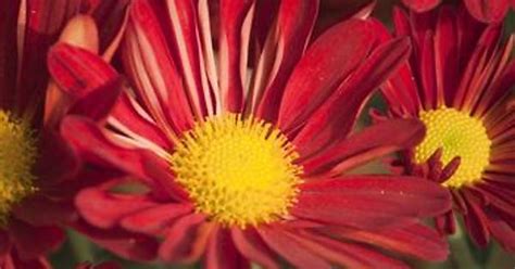 十堰代开加油费发票 Imgur