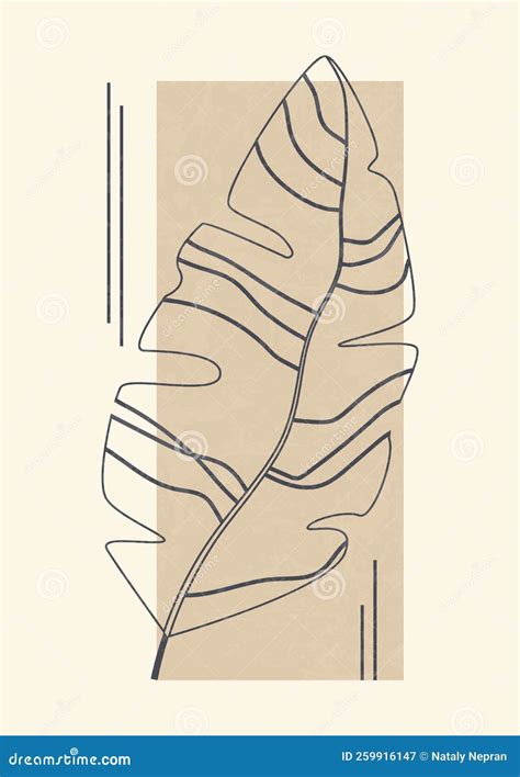 Aesthetic Illustration With Linear Leaf Poster Modern Art Stock Vector Illustration Of Retro