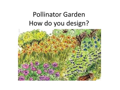Ppt Pollinator Garden How Do You Design Powerpoint Presentation
