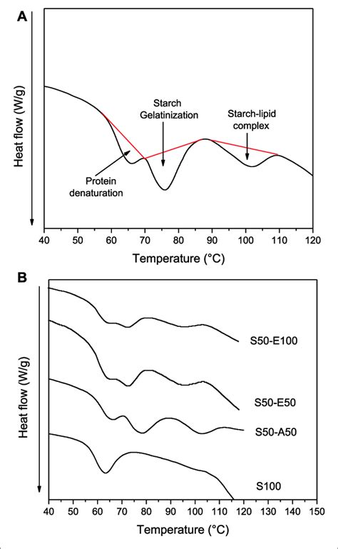 Differential Scanning Calorimetry Dsc Thermograms A Phase