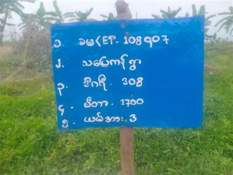 ရက္ခိုင်ပြည်မာ စစ်ကောင်စီတပ်က ရက္ခိုင်ပြည်သူလူထုကို အဓိက ပစ်မှတ်ထားပနာ