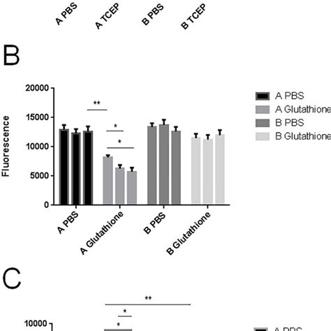 Cleavage Of The Disulfide Bond With Tcep Or Glutathione In Vitro A