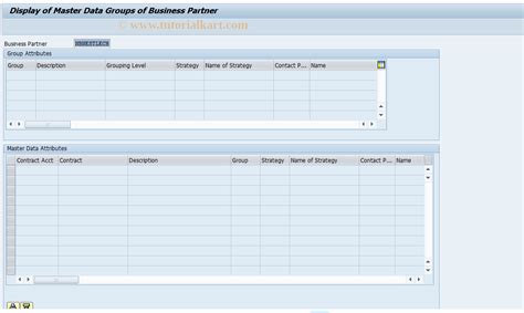 FPCGA SAP Tcode Display Master Data Groups Transaction Code