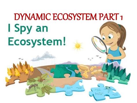 Biology Form 4 Chapter 8 Dynamic Ecosystem Part 1