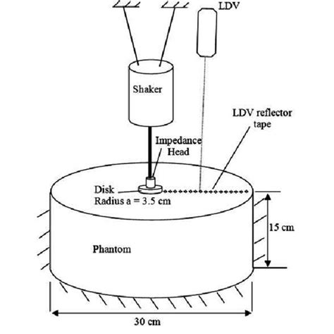 Schematic Of Surface Wave Experimental Setup Download Scientific Diagram
