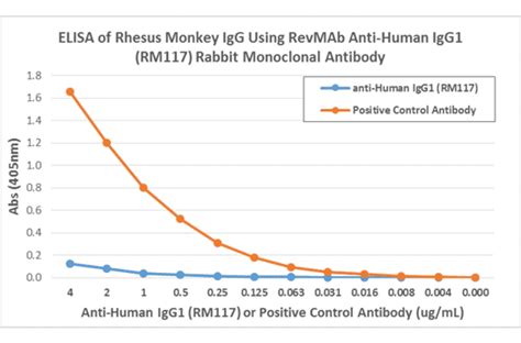 Recombinant Anti Human Igg1 Antibody Rm117 A121337