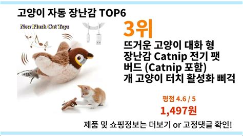 알리 고양이 자동 장난감 추천 제품 Best Top 6 I 알리익스프레스 Youtube