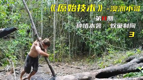 澳洲小哥野外烧制陶器，提高生活品质三农农村户外好看视频
