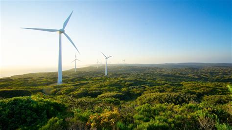 Acwa Power Secures Financing For 11gw Suez Wind Farm In Egypt