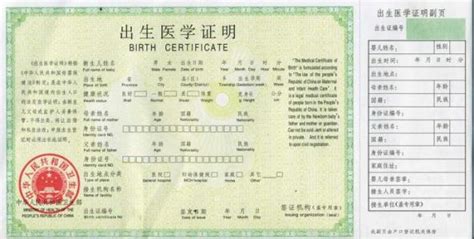 落户亲子鉴定 孩子是黑户应当及时办理上户口亲子鉴定以免影响孩子未来