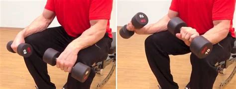 Reverse Dumbbell Wrist Curl • Bodybuilding Wizard