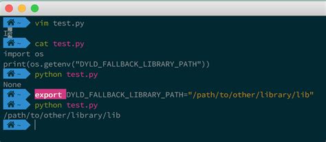 Environment Variable `dyldfallbacklibrarypath` Removed From Instance