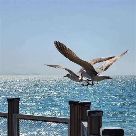 여름 휴가 추천 계곡 ⑲인제 백담계곡 맑은 물소리 들으며 쉬어가기