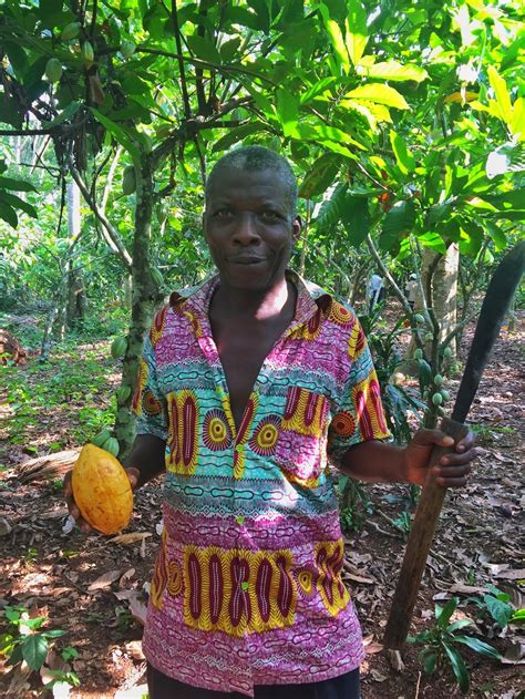Meet The Cocoa Farmers Who Have Never Tasted Chocolate Business