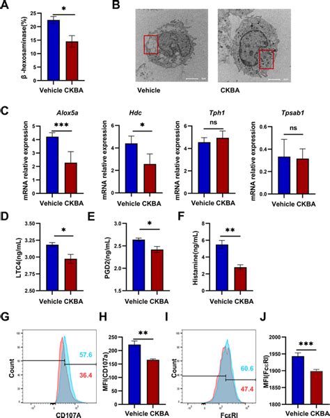Ckba Inhibited Mast Cells Degranulation Stimulated By Dnp‐hsa Bmmcs 1