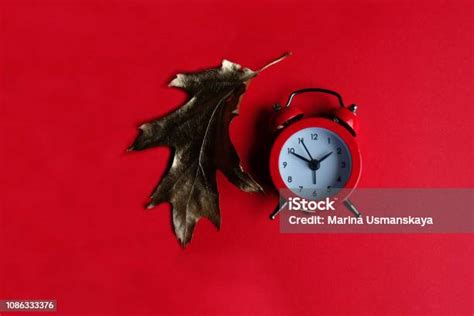 赤い目覚まし時計と赤い背景の上の黄金葉 アナログのストックフォトや画像を多数ご用意 アナログ オフィス カットアウト Istock