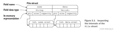 Rust In Action笔记 第三章 复合数据类型vec 和buffer Csdn博客