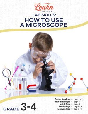 How To Use A Microscope Free PDF Download Learn Bright