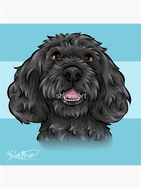 Cartoon Black Cockapoo