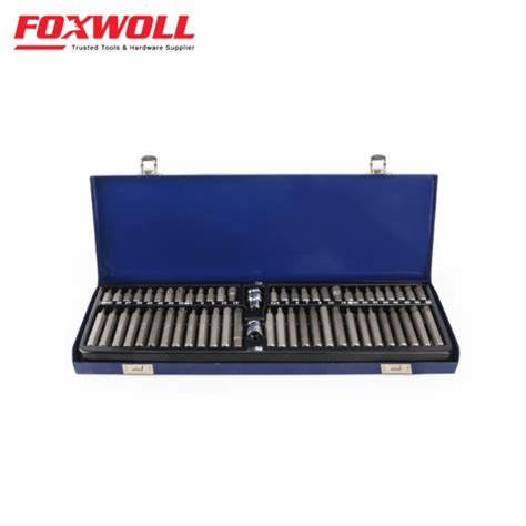 Multi Purpose Sizes 58pcs Spline Hex Torx Security Torx Screwdriver Bit Set Foxwoll