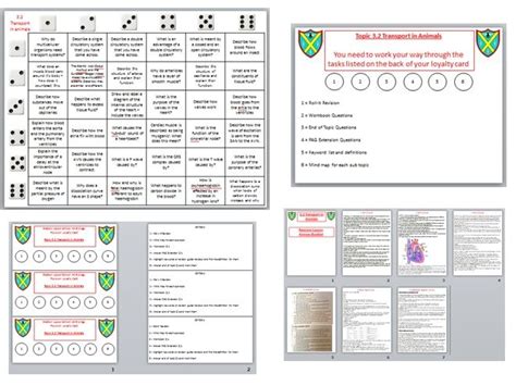 As Ocr Biology Transport In Animals 32 Revision Teaching Resources