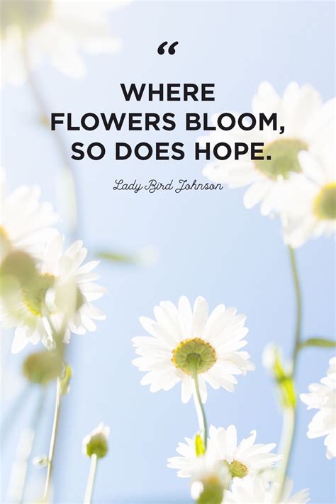 Quotes About Natural Flowers At Tommy Miller Blog