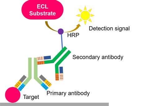 Acres Max Haven Lab Supply