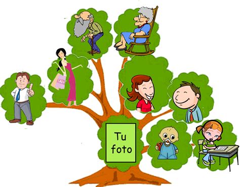 Modelos de árboles genealógicos de la familia Imagui