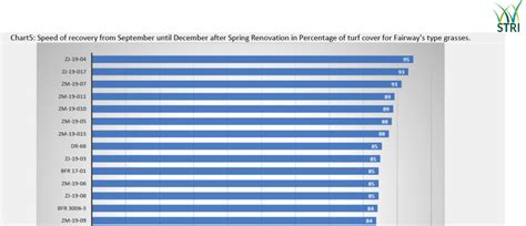 Zoysia Australis Coming Soon Lawn Solutions Australia