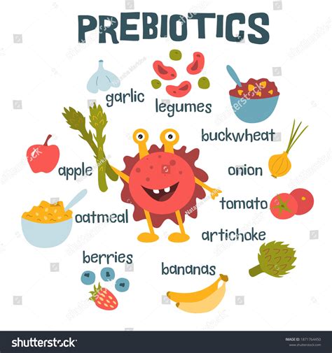 Set Prebiotic Products Food Rich Nutrients เวกเตอร์สต็อก ปลอดค่าลิขสิทธิ์ 1871764450