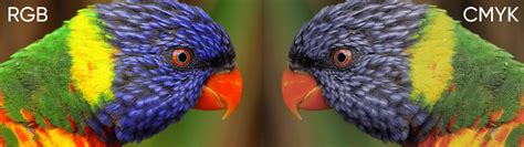 Что такое Rgb и Cmyk Различия между ключевыми цветовыми моделями