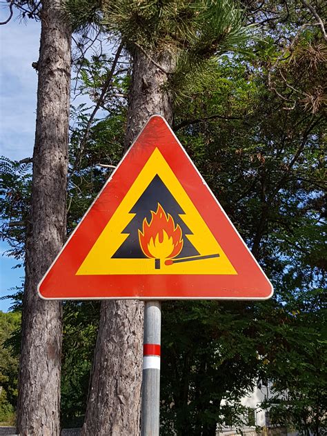 Unklare Rauchentwicklung Im Wald