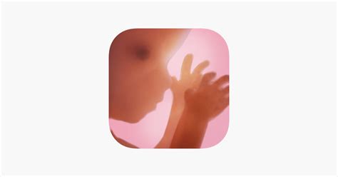Pregnancy Tracker App On The App Store