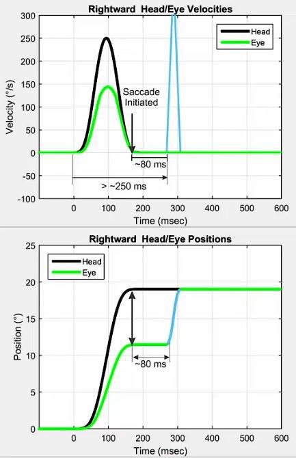 Video Head Impulse Test Vhit A Deep Dive Interacoustics
